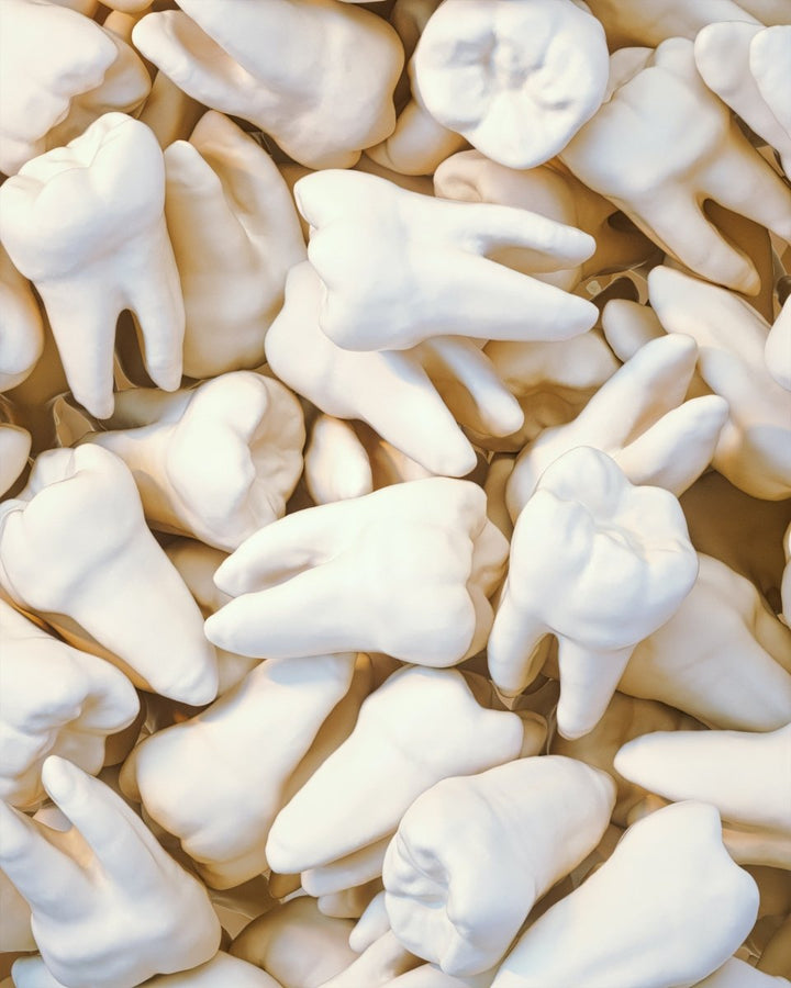 Uniquely Morbid®: Bone Jewelry, Creature Skeletons, Oddities, and More