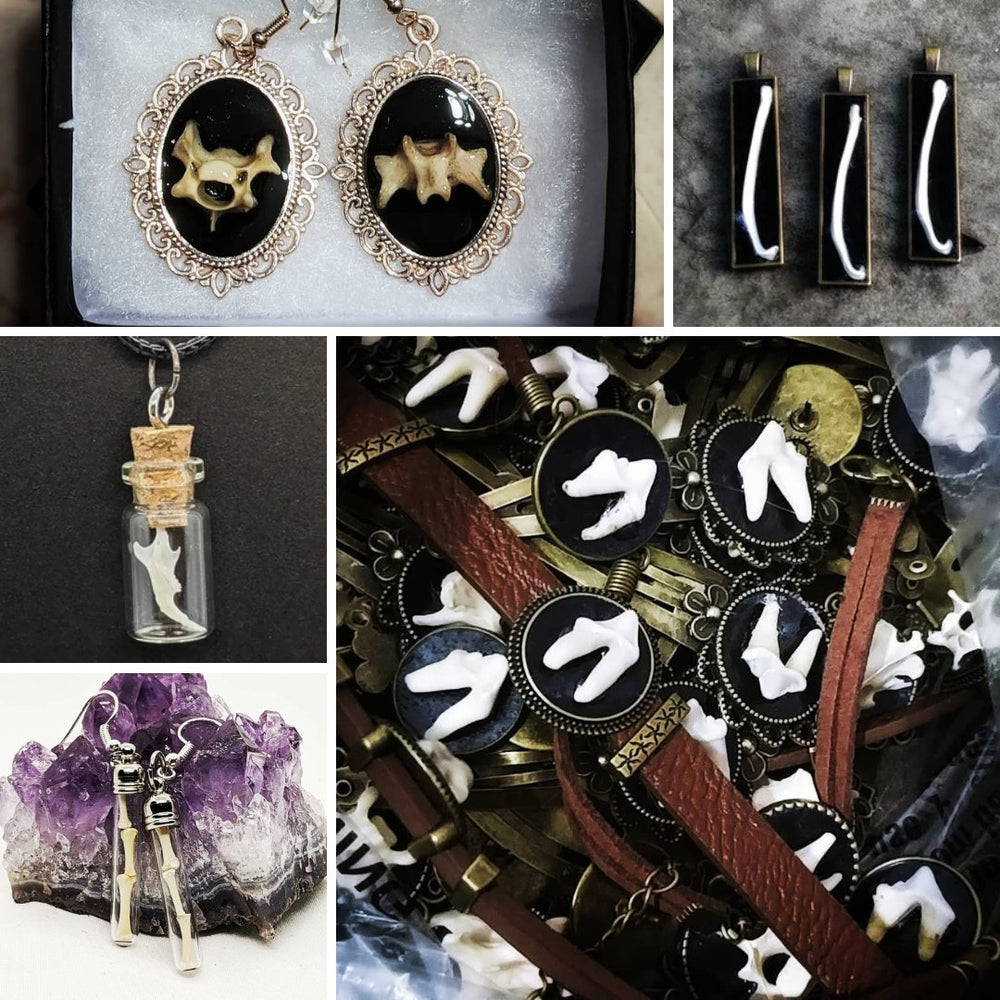 Uniquely Morbid®: Bone Jewelry, Creature Skeletons, Oddities, and More