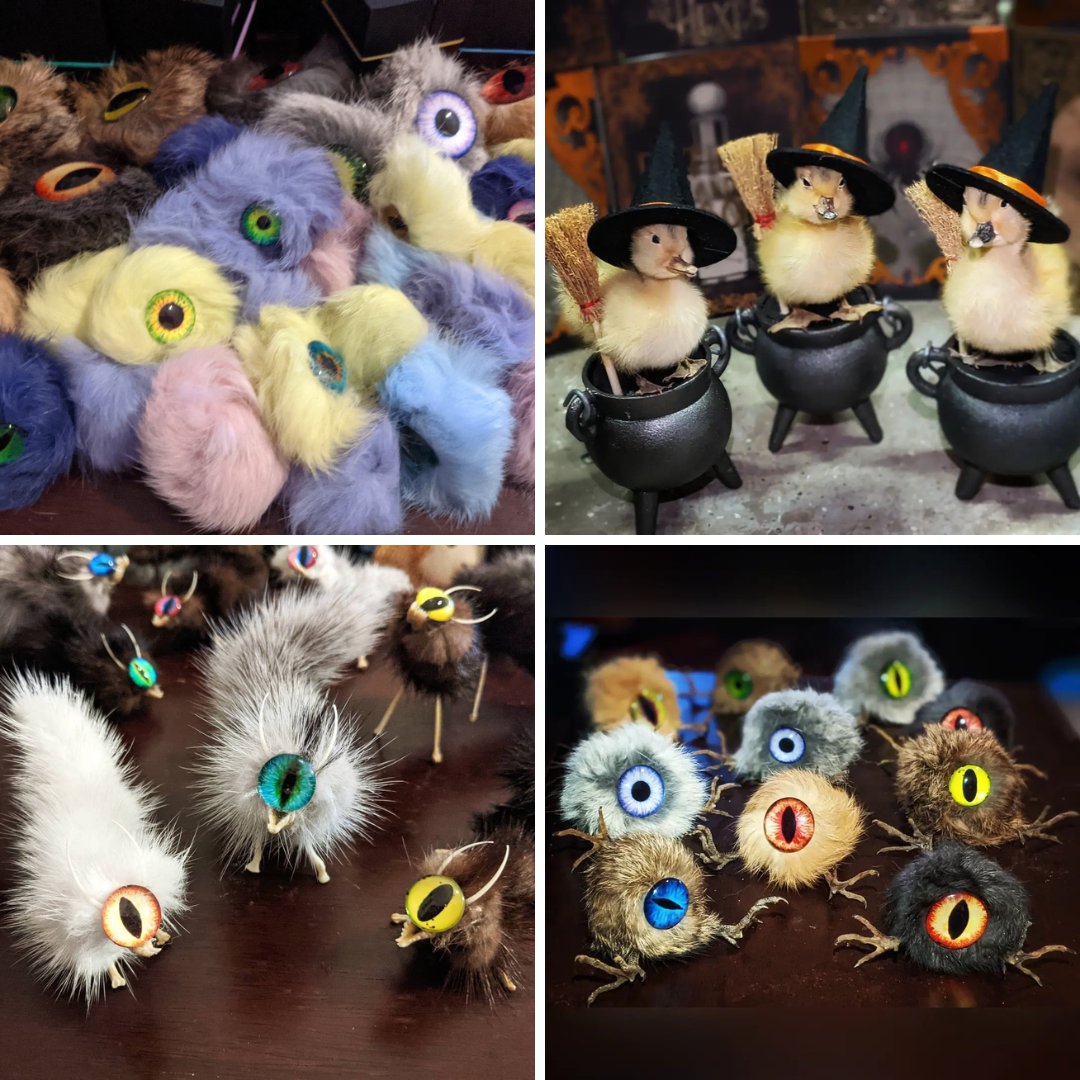 Uniquely Morbid®: Bone Jewelry, Creature Skeletons, Oddities, and More