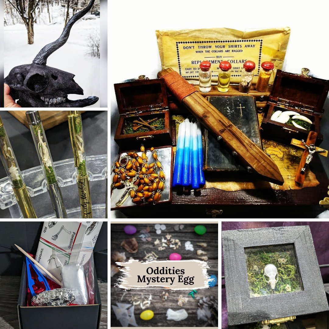 Oddities, Trinkets, and Things - Uniquely Morbid – Uniquely Morbid®